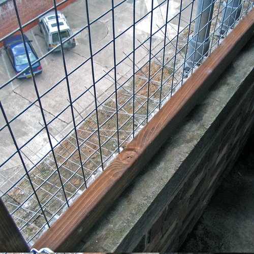 Bird Management Solutions - Bespoke Bird Proofing Solutions