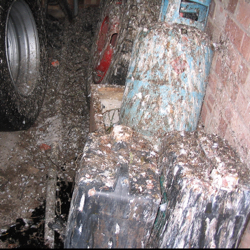 Bird Management Solutions - Bird Fouling Clearance