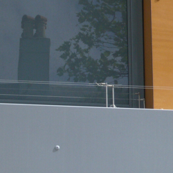 Bird Management Solutions - Post and Wires