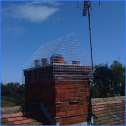 Bird Management Solutions - Chimney Cages